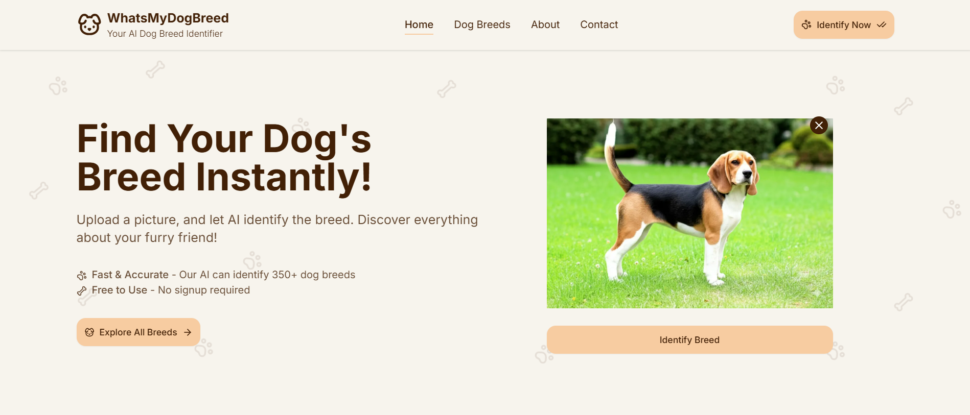 What's My Dog Breed? | AI Dog Breed Identifier